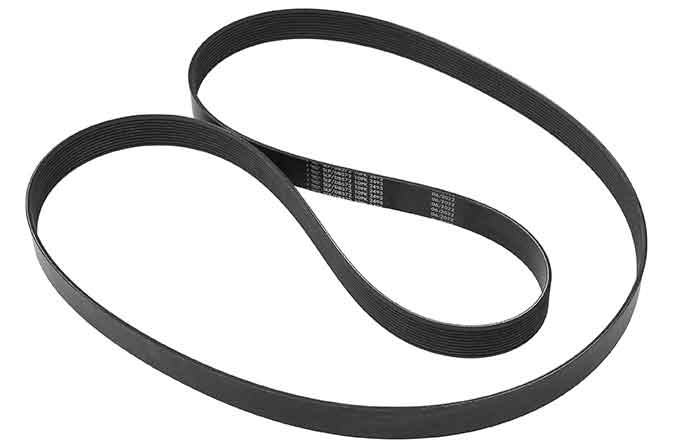 SLP DB-572 Multi-Rib Belt - 2447572 — GenParts.eu